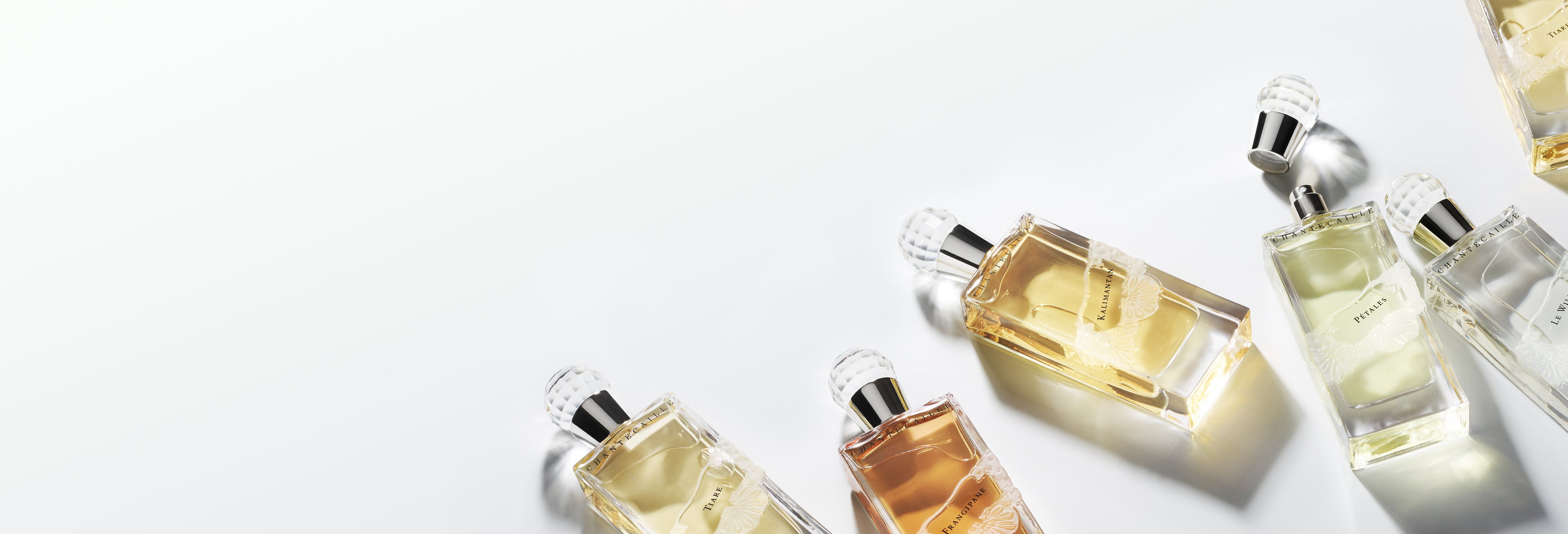 Chantecaille Makeup & Skincare