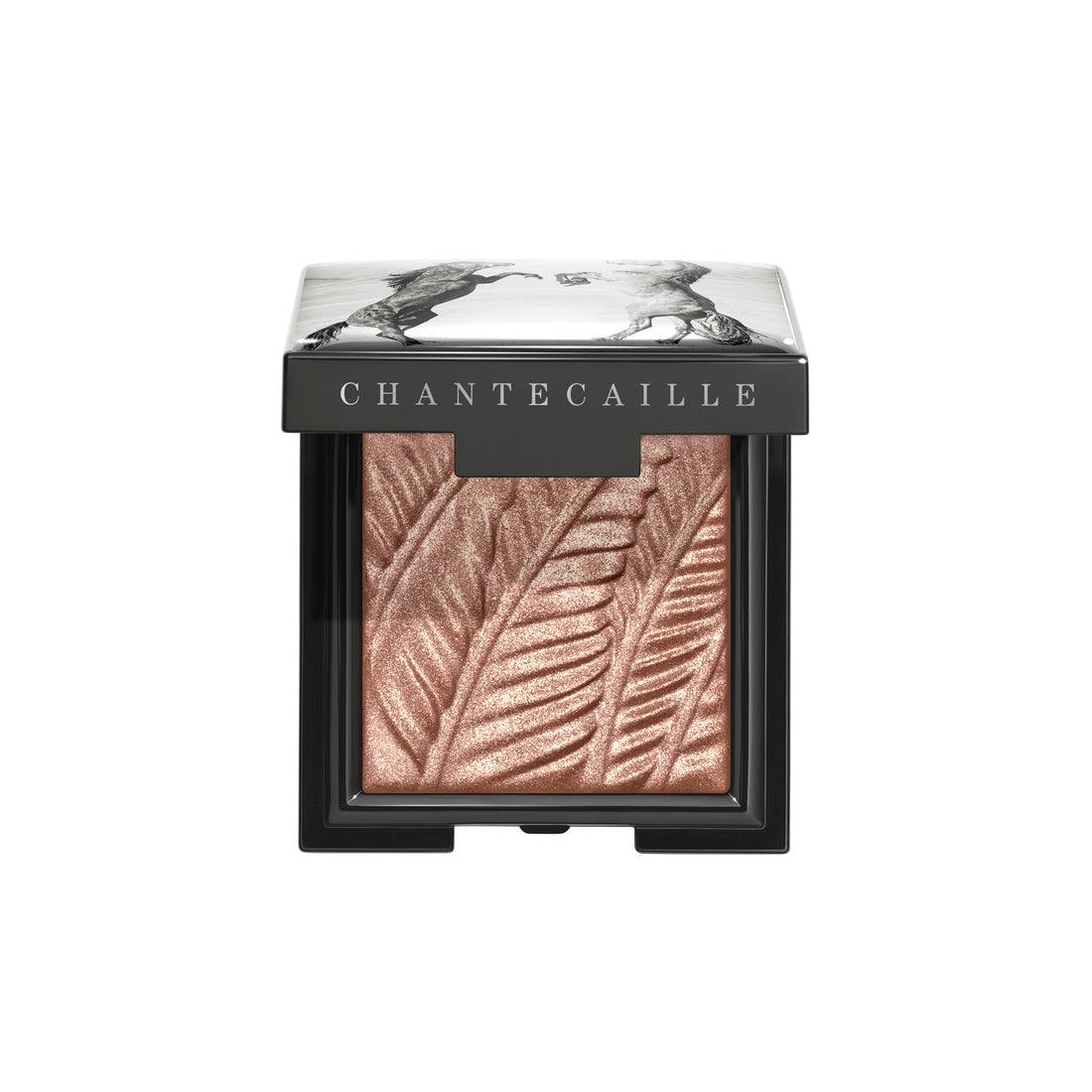 Luminescent Eye Shades | Pearlescent Eye Shadow – Chantecaille