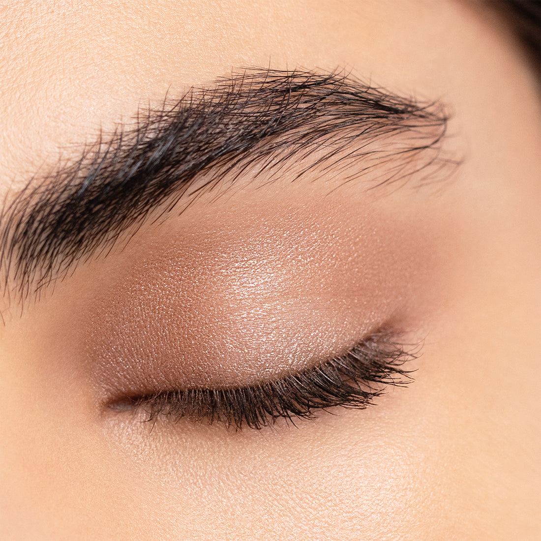 Luminescent Eye Shades | Pearlescent Eye Shadow – Chantecaille