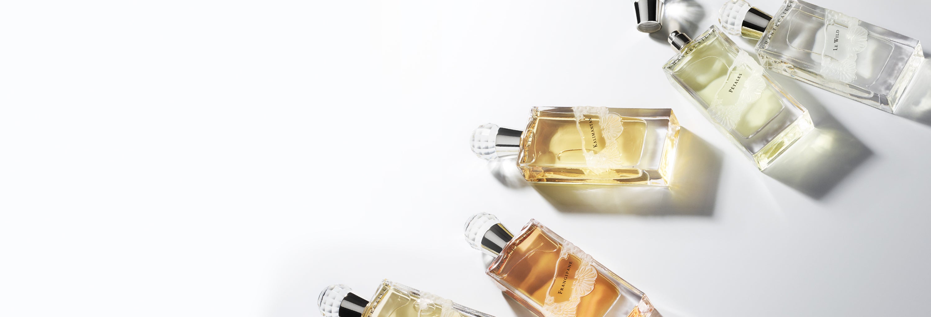 Chantecaille Makeup & Skincare