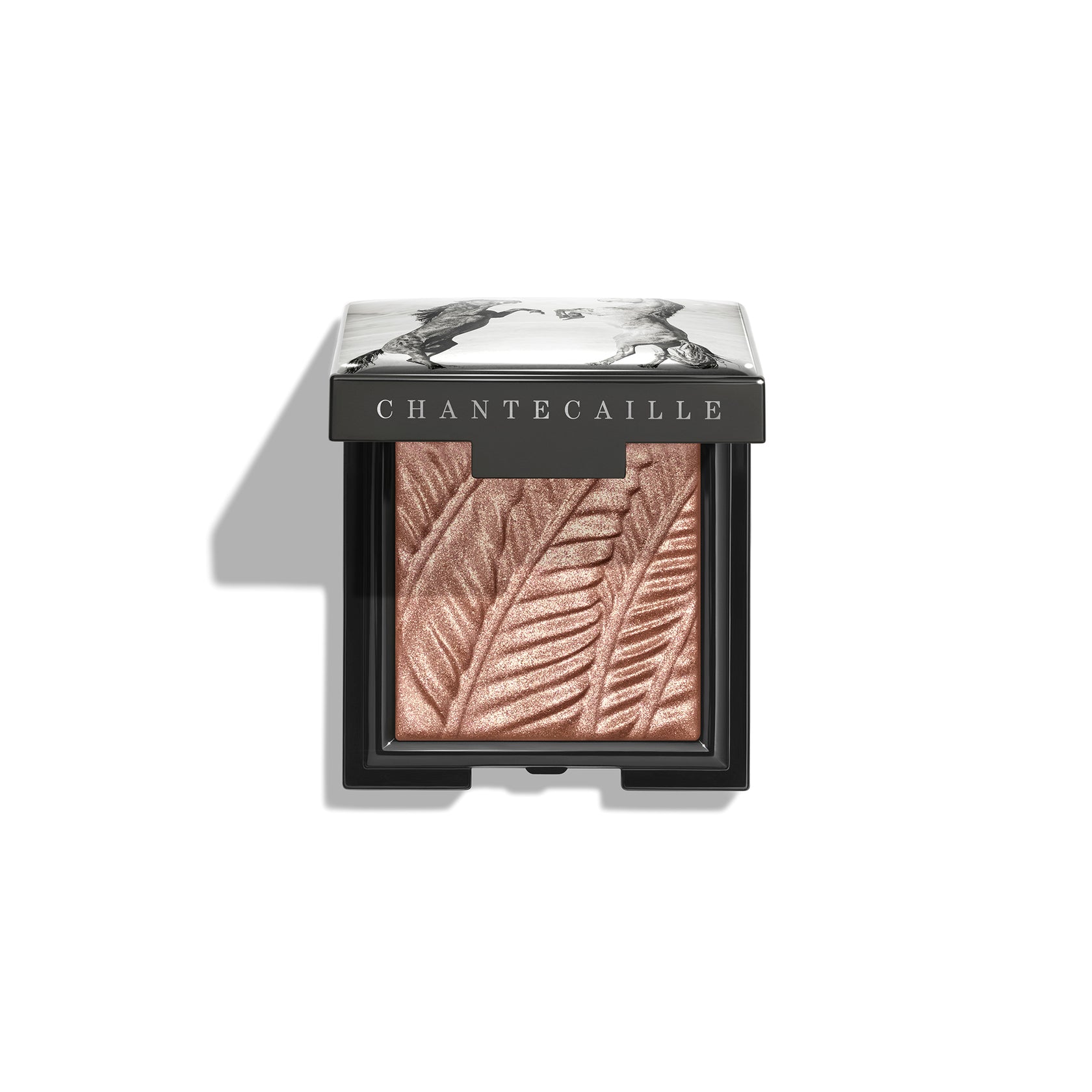 Luminescent Eye Shades | Pearlescent Eye Shadow – Chantecaille