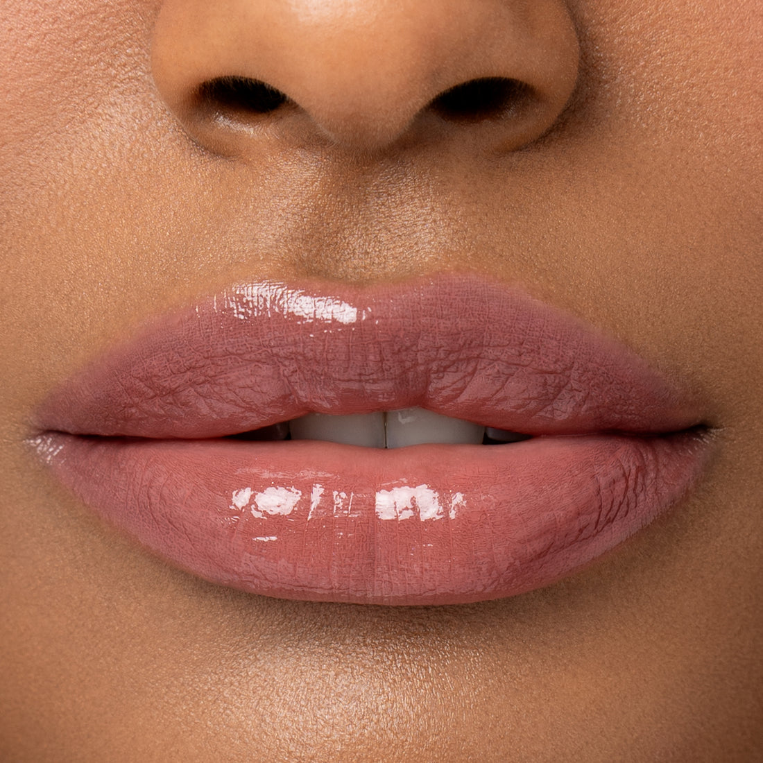 Sea Turtle Collection - Lip Chic – Chantecaille