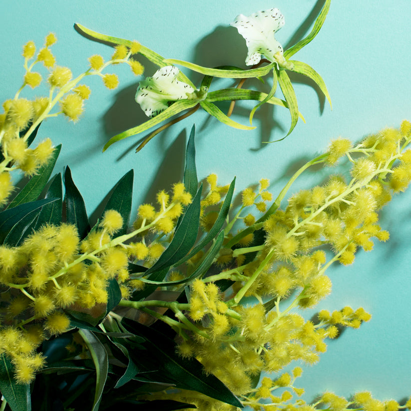 Tiare Fragrance & Exotic Floral Perfume – Chantecaille